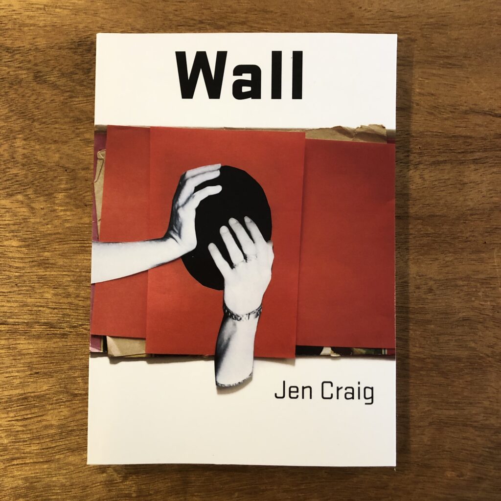 New Releases - Jen Craig's 'Wall', 'Since the Accident' and 'Panthers ...