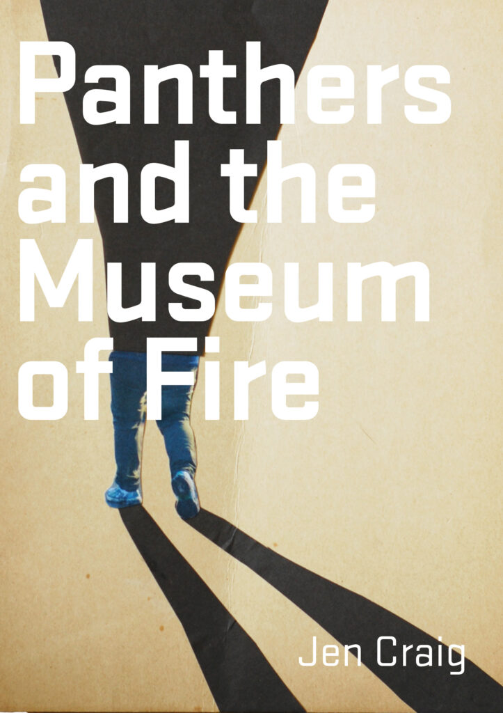 Panthers and the Museum of Fire - Puncher & Wattmann