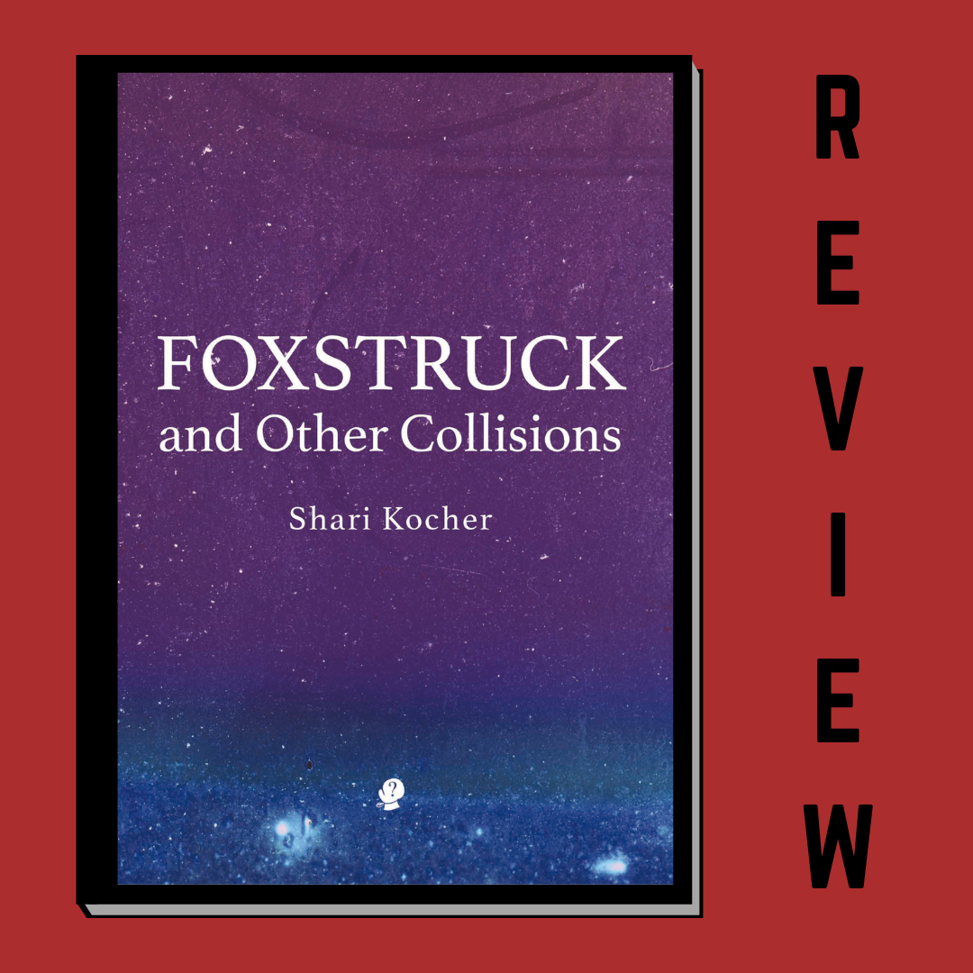 Shari Kocher's 'Foxstruck and Other Collisions' Reviewed by Eva Birch ...